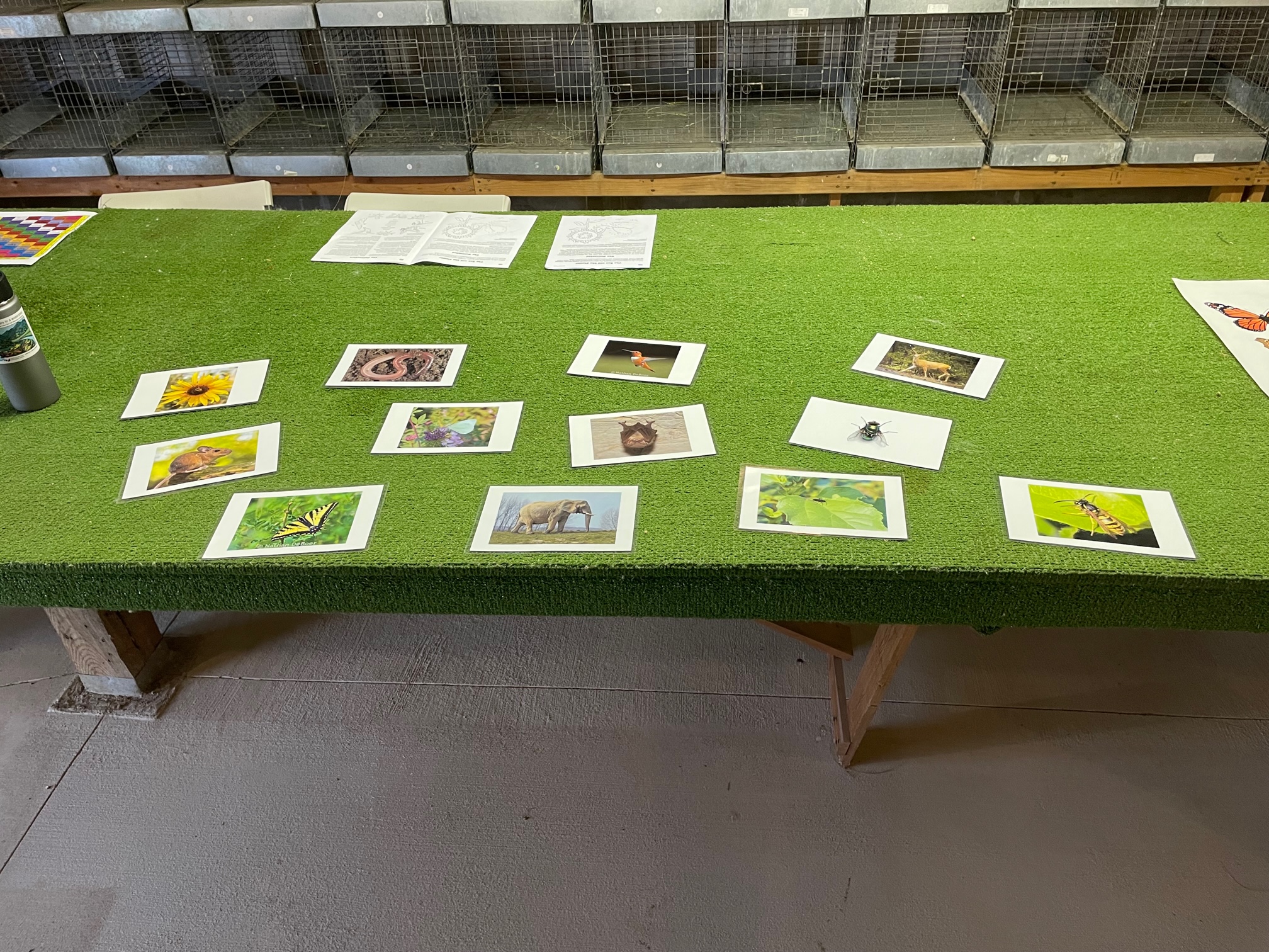 Sanders County Ag Day – Eastern Sanders County Conservation District